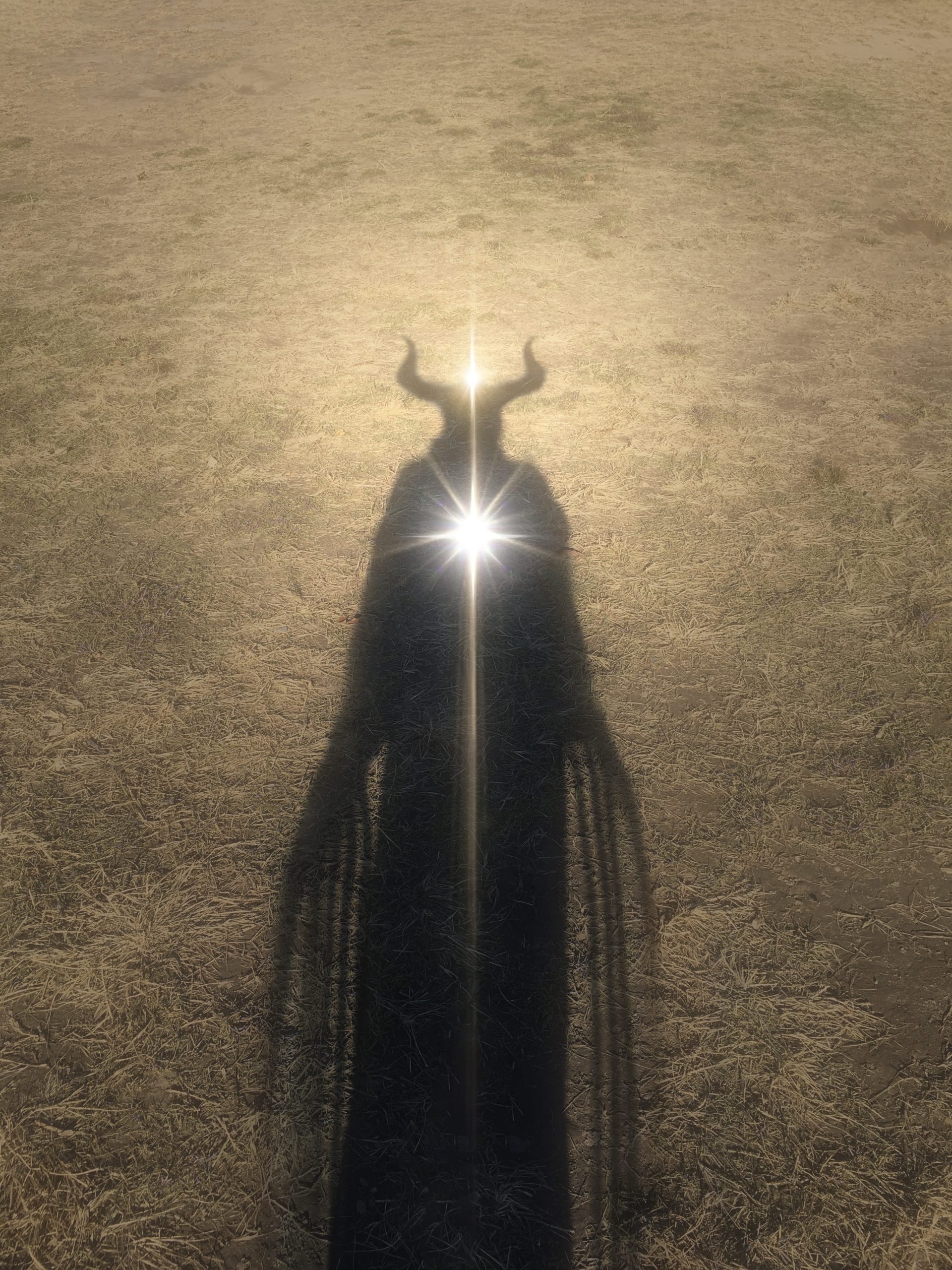 Female Pentimento - NR