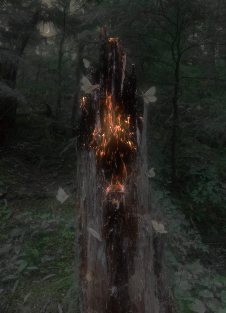 Female Pentimento - NR