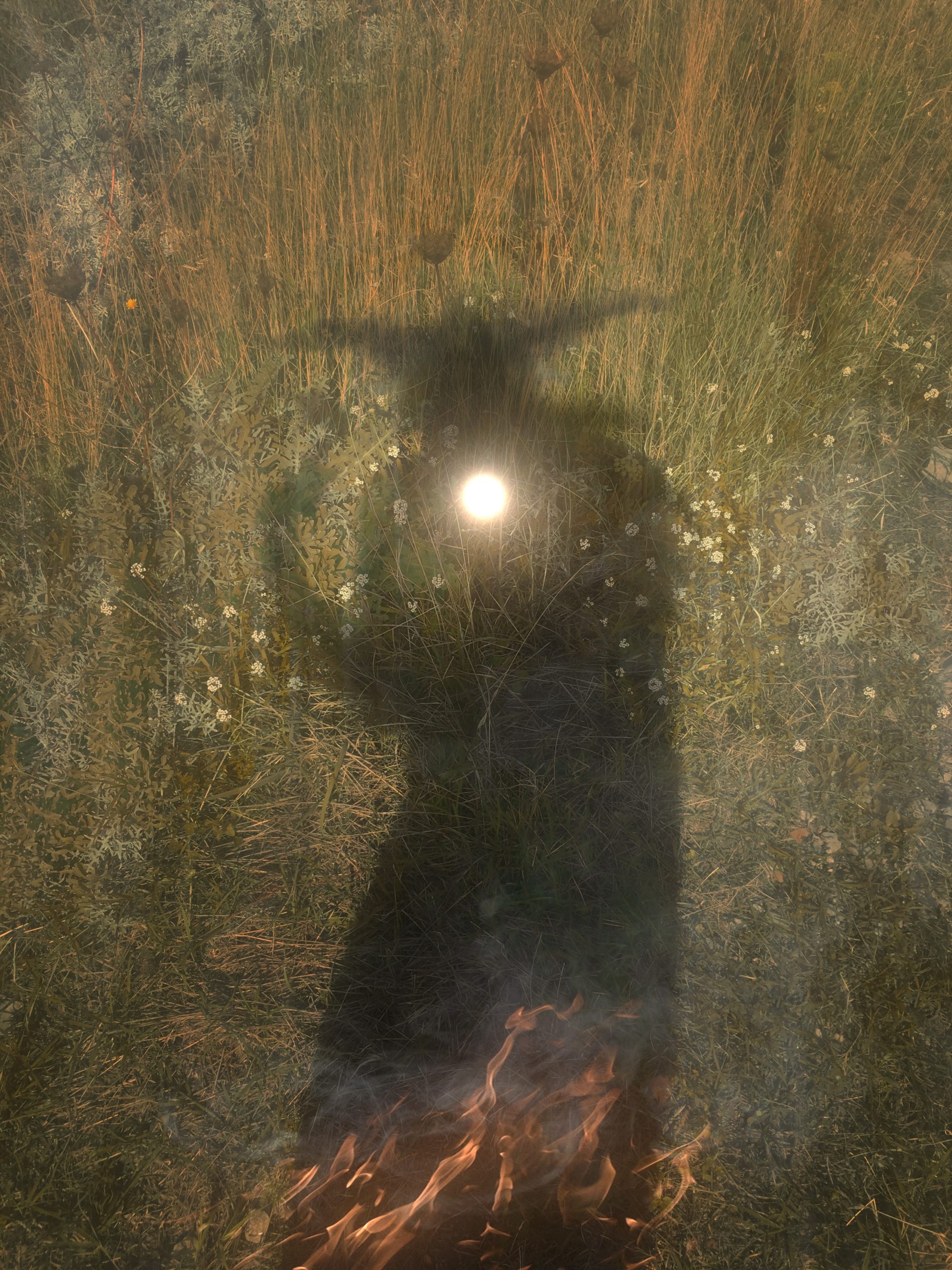 Female Pentimento - NR