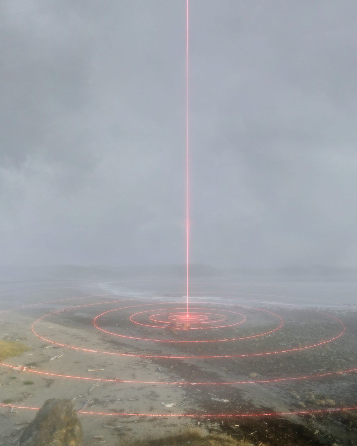 Female Pentimento - NR