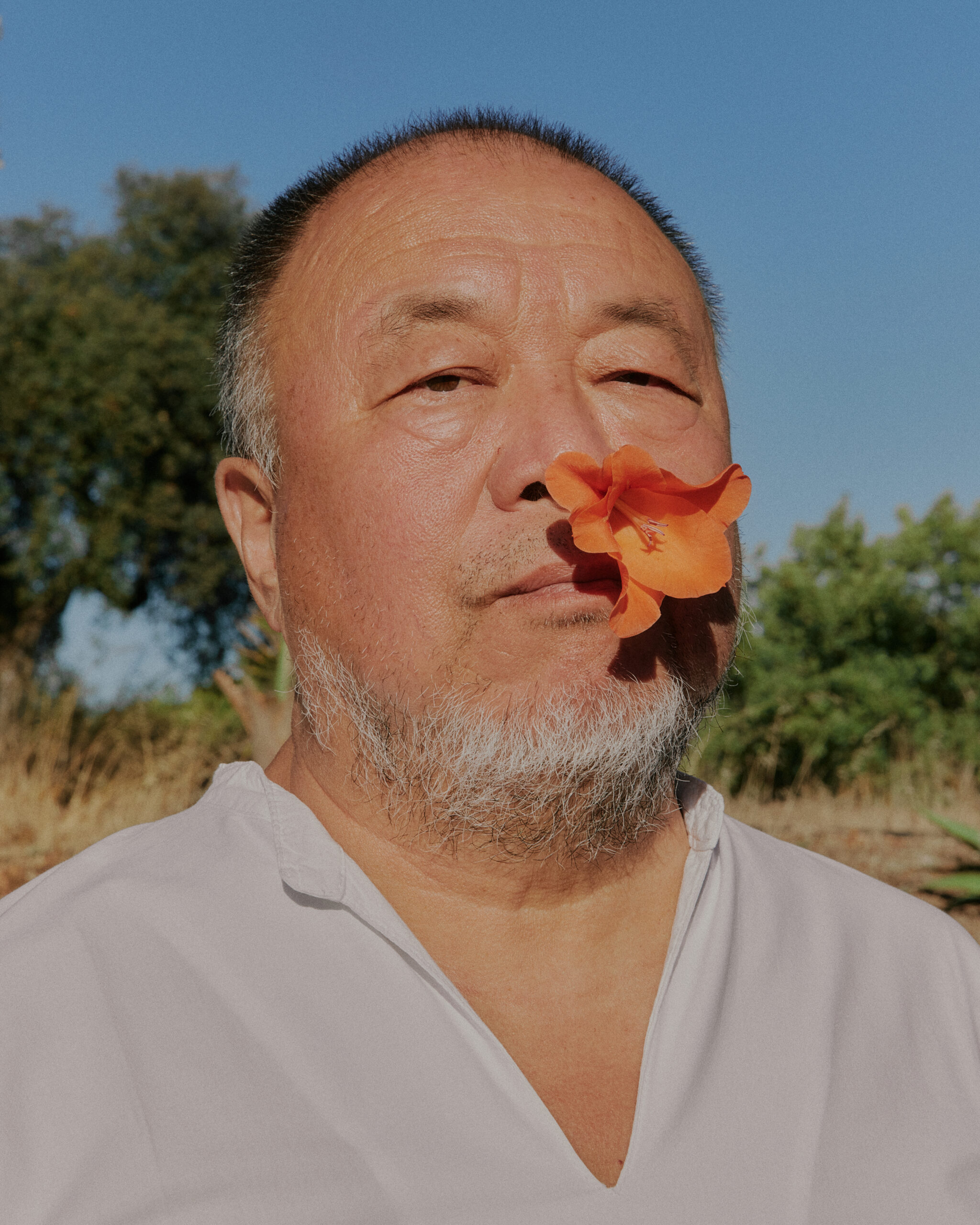 Ai Weiwei - NR
